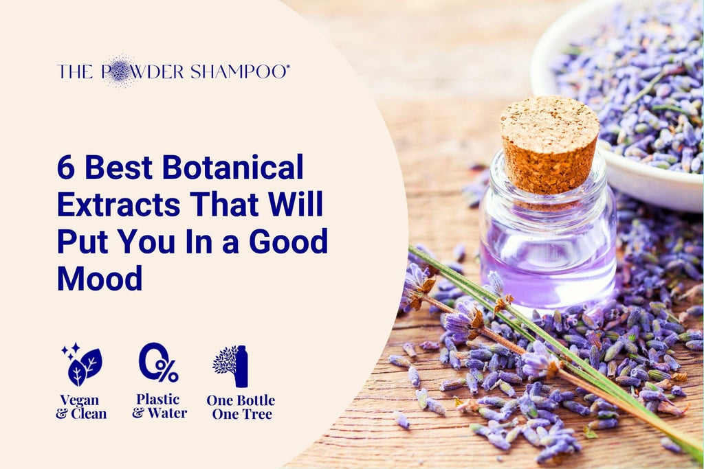 6 Best Botanical Extracts That Will Put You In a Good Mood – The Powder ...