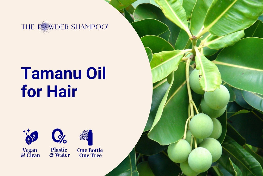 Tamanu Oil for Hair – The Powder Shampoo