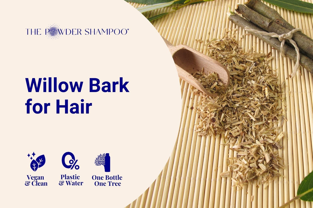 Willow Bark for Hair – The Powder Shampoo