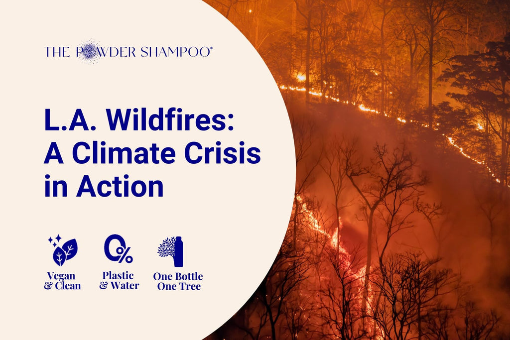 L.A. Wildfires: A Climate Crisis in Action – The Powder Shampoo