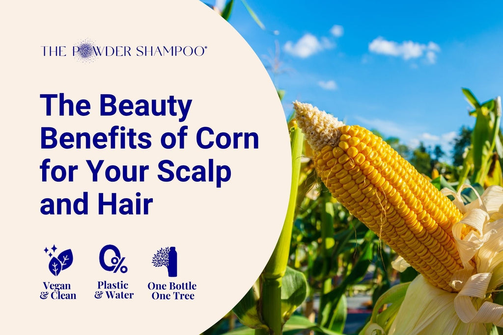 Unveiling the Golden Secret: The Beauty Benefits of Corn for Your Scal ...