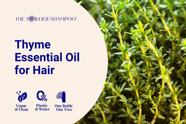Thyme Essential Oil for Hair – The Powder Shampoo