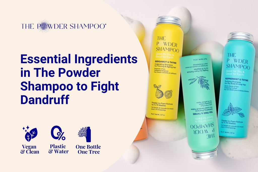 Essential Ingredients in The Powder Shampoo to Fight Dandruff