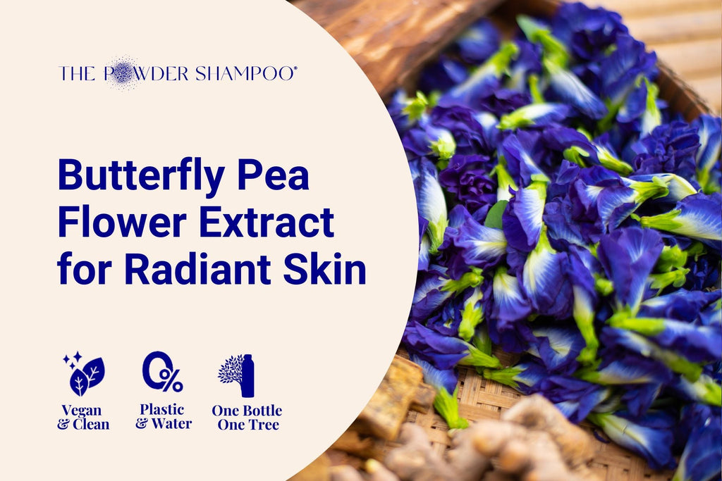 Unlock the Elixir of Youth: Butterfly Pea Flower Extract for Radiant S ...
