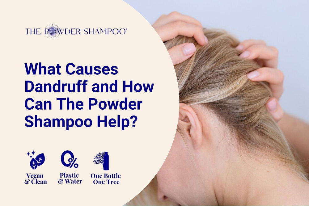 What Causes Dandruff and How Can The Powder Shampoo Help?