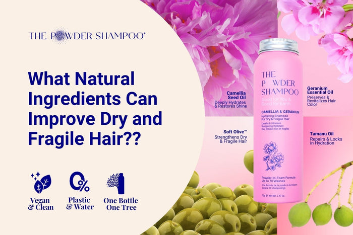 What Natural Ingredients Can Improve Dry and Fragile Hair?? – The ...