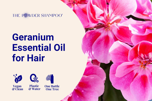 Geranium Essential Oil for Hair: Benefits & Uses – The Powder Shampoo