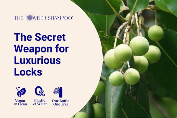 Tamanu Oil: The Secret Weapon for Luxurious Locks – The Powder Shampoo