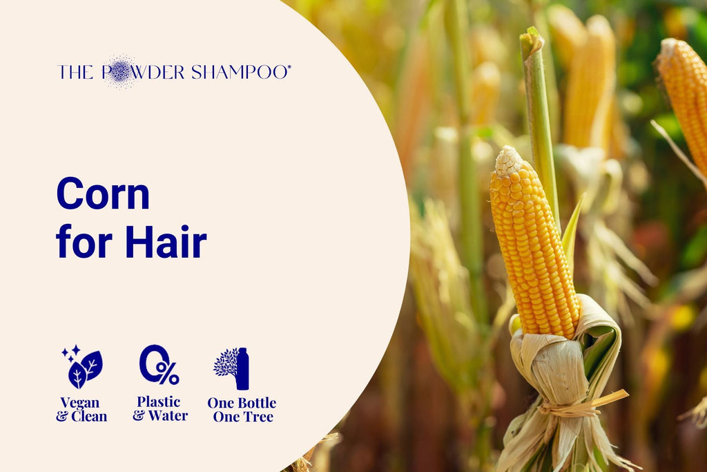Corn for Hair – The Powder Shampoo