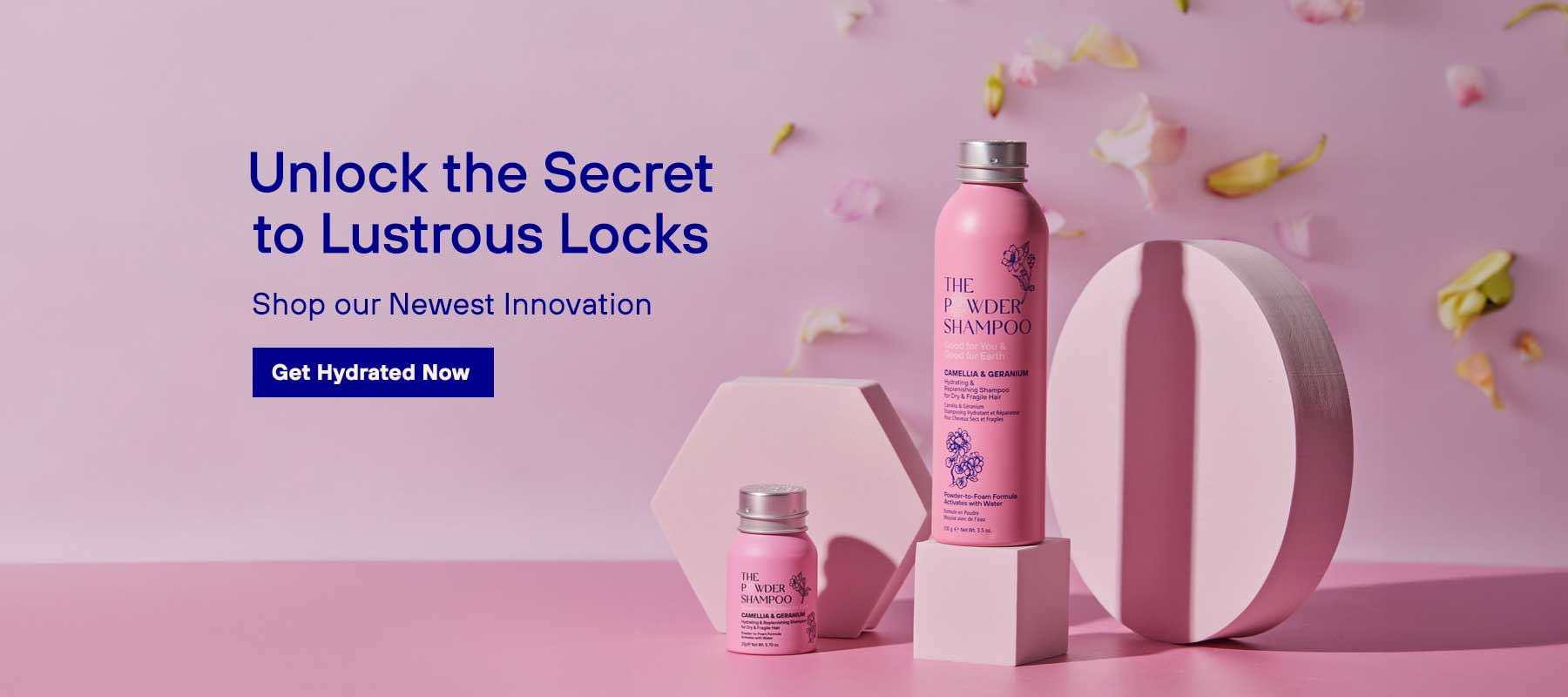 THE POWDER SHAMPOO | Vegan, plastic-free, water-free shampoo – The ...